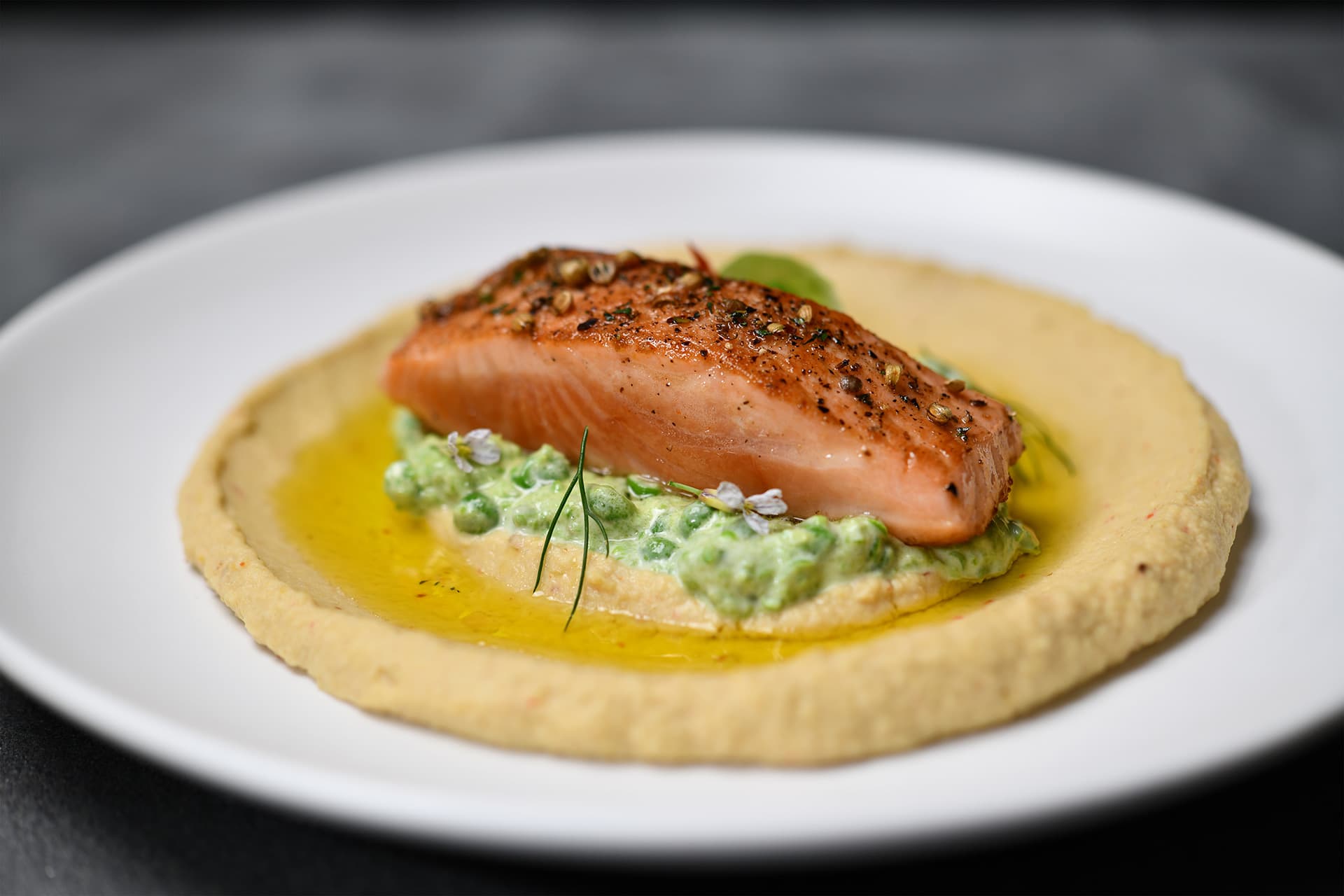 Chilean Salmon Marketing Council – Promoting Delicious, Nutritious ...