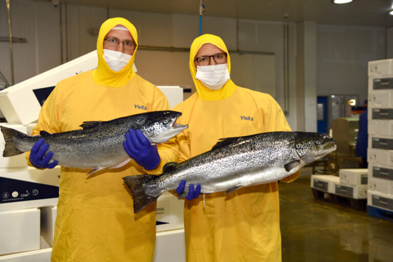 The Case for Chilean Salmon – Chilean Salmon Marketing Council